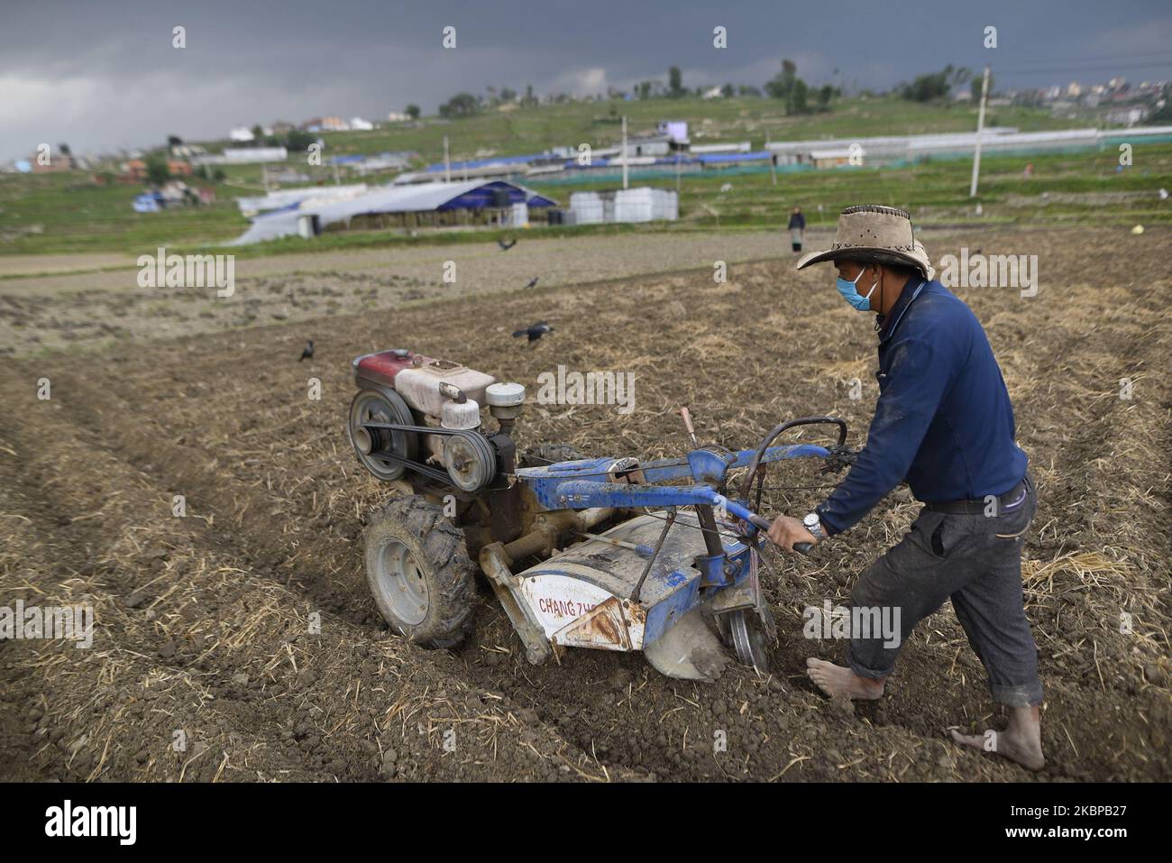 Farmer nepal tractor hi-res stock photography and images - Alamy