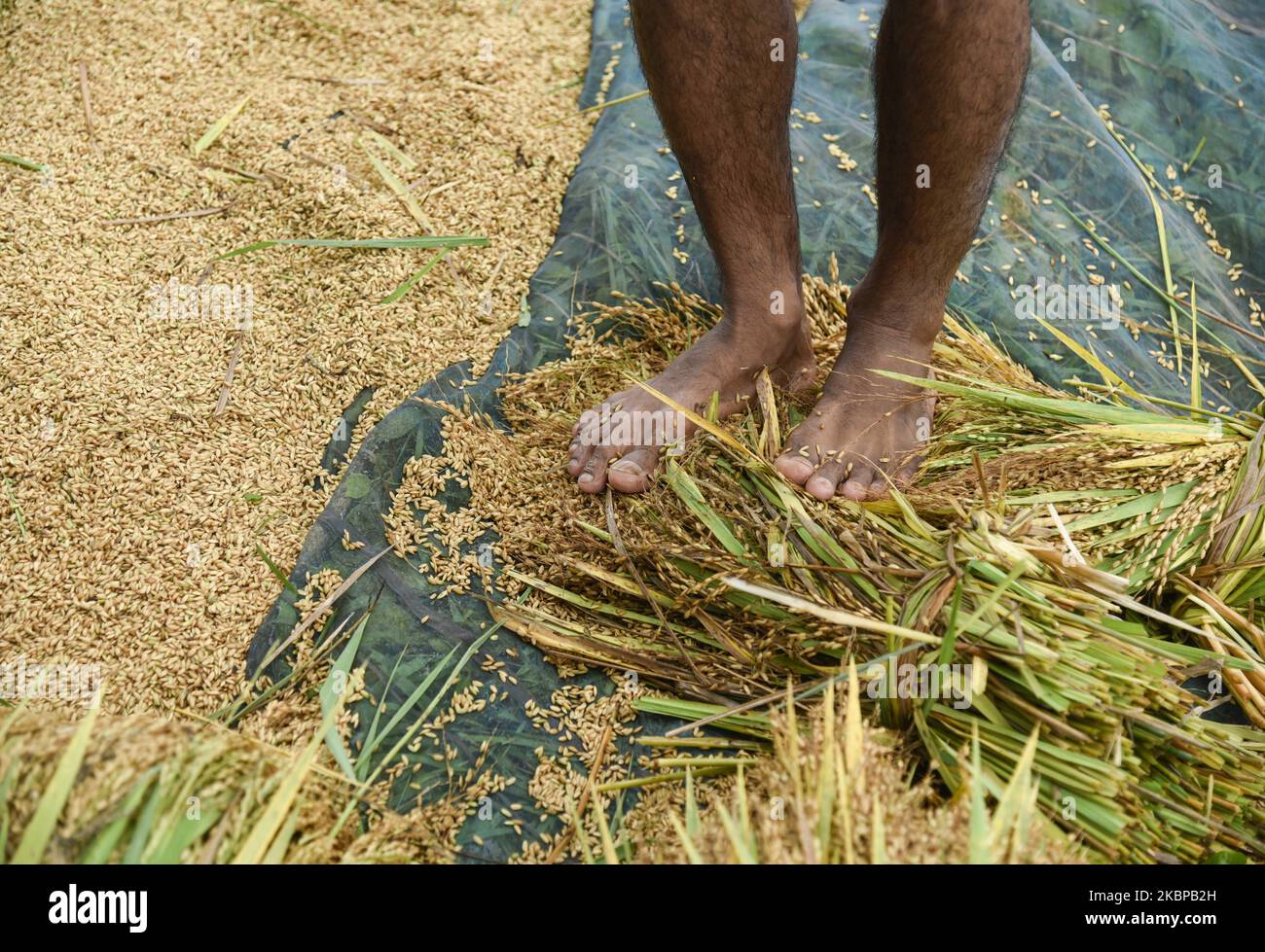 Kamrup district of assam hi-res stock photography and images - Alamy