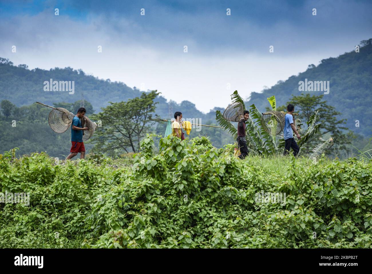 Parts of assam state hi-res stock photography and images - Alamy