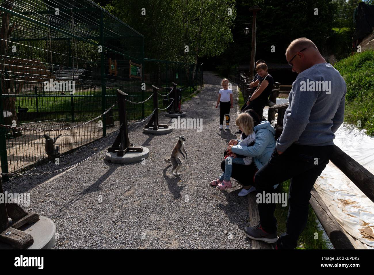 A family enjoys time in a zoo in normally very busy and popular ...