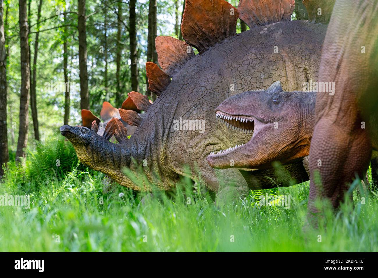 Human challenge models hi-res stock photography and images - Alamy