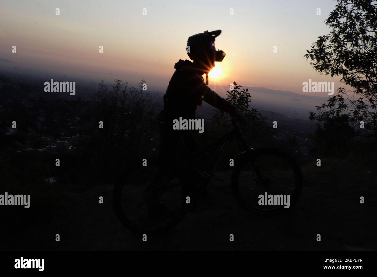 Los dinamos forest hi-res stock photography and images - Alamy