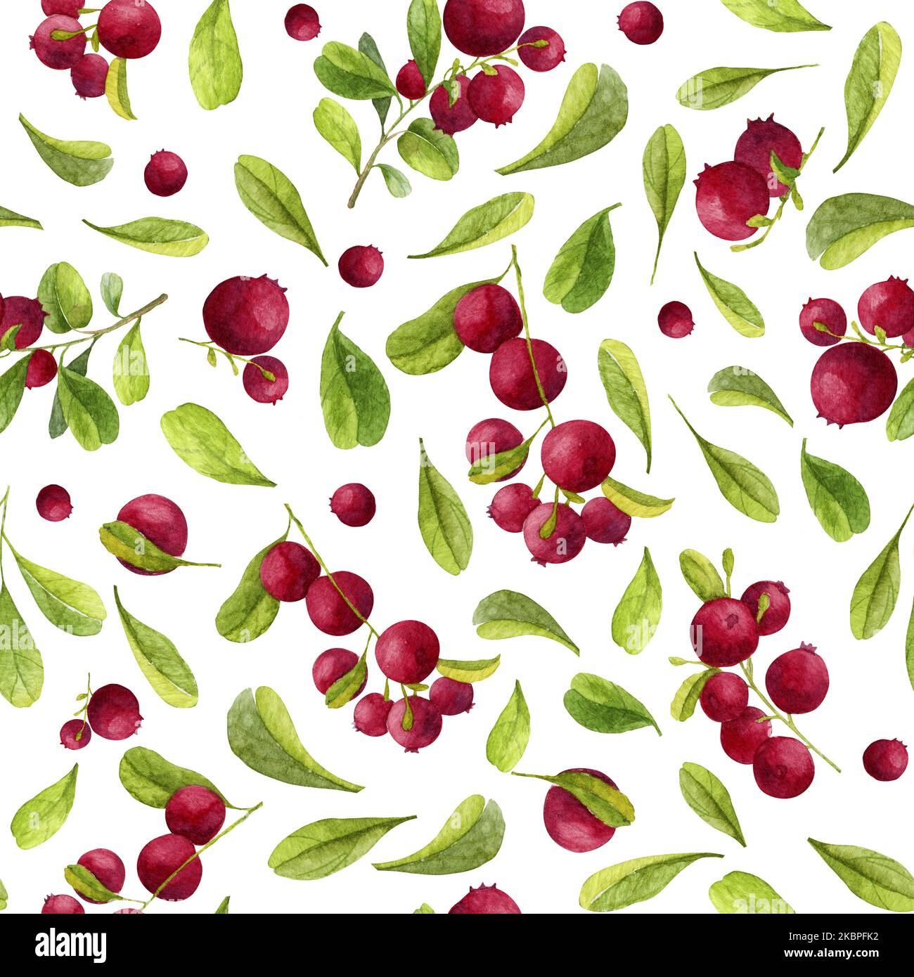 Seamless Pattern with Cranberry. Hand drawn watercolor background with ...