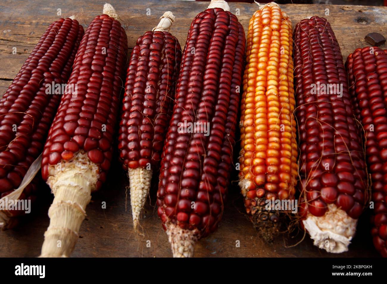 Italy emilia romagna novafeltria hi-res stock photography and images ...