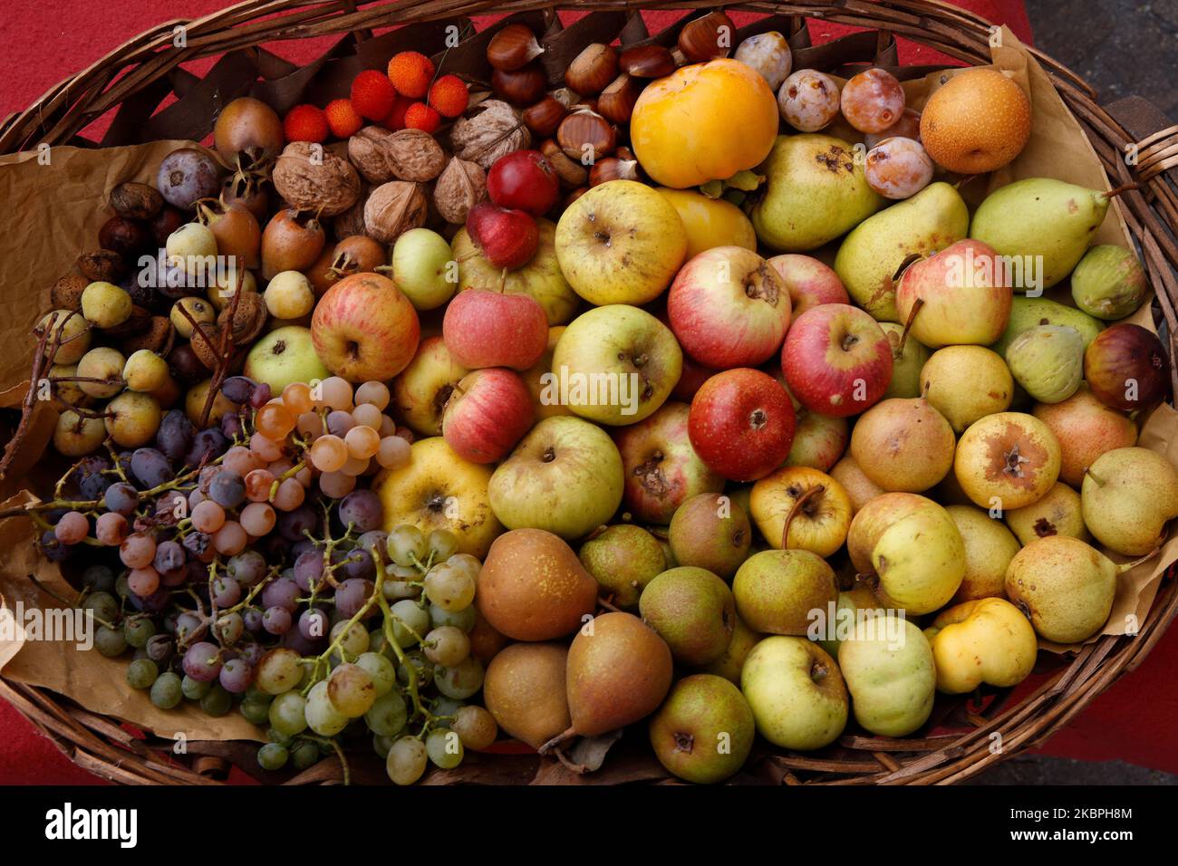Festa della vendemmia e dei frutti autunnali frutti autunnali hi-res ...