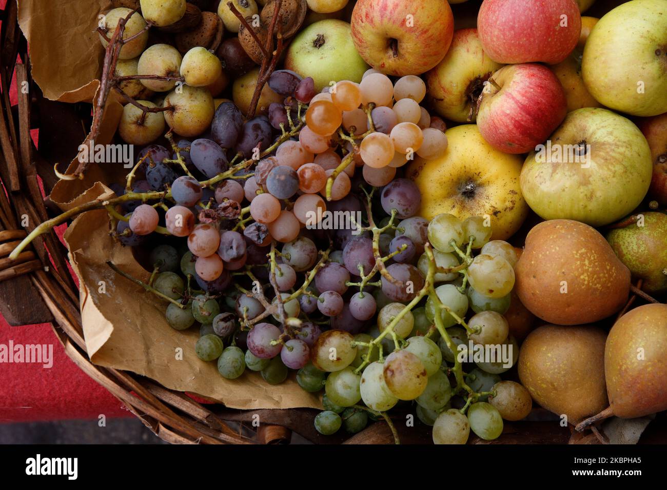 Festa della vendemmia e dei frutti autunnali frutti autunnali hi-res ...