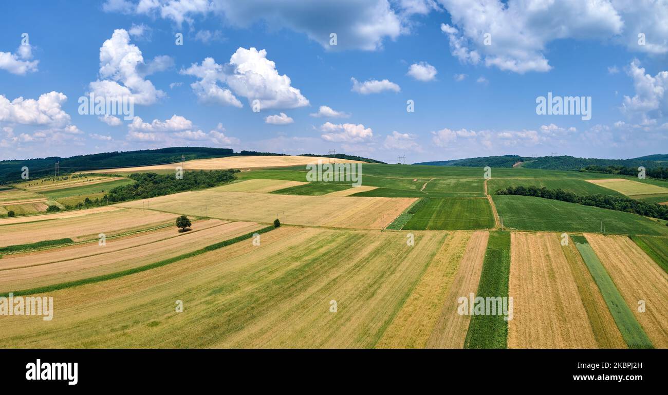 Aerial landscape view of green cultivated agricultural fields with ...