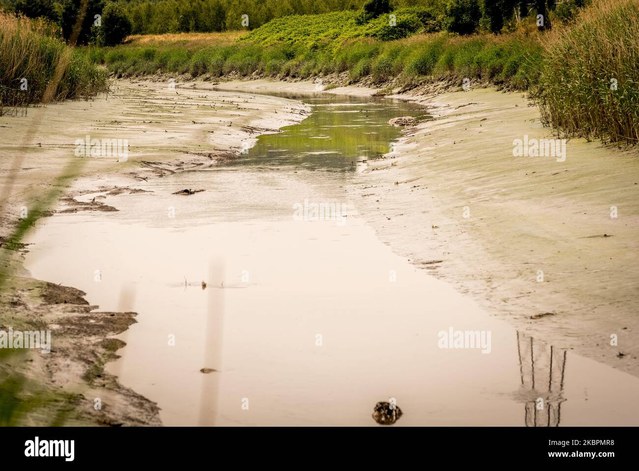 Low water level in rivers and groundwater can be seen in Heusden ...