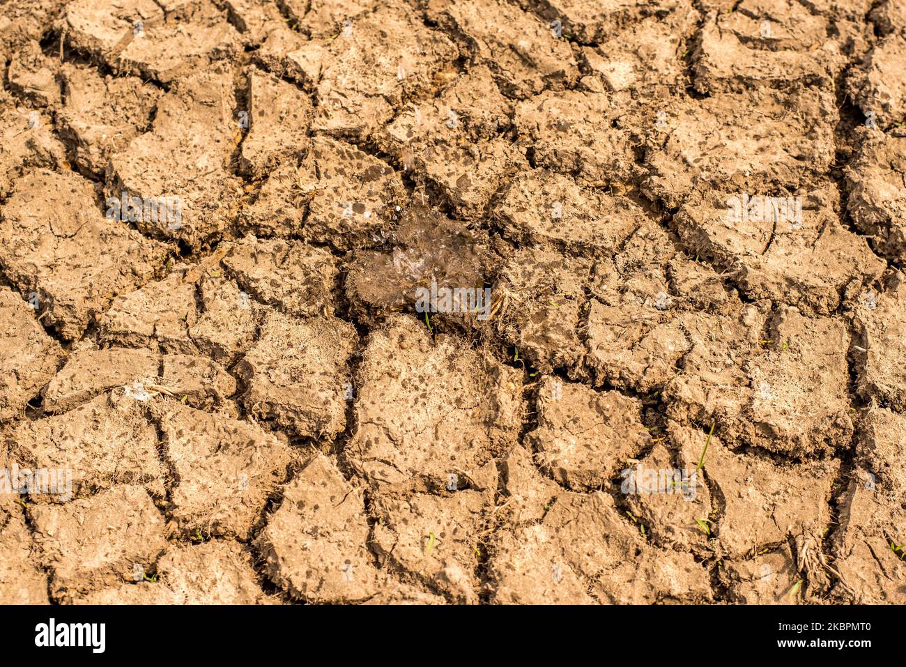 Low water level in rivers and groundwater can be seen in Ghentbrugge ...