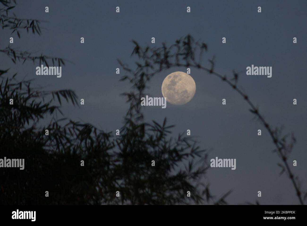 Aditya irawan nurphoto hi-res stock photography and images - Alamy