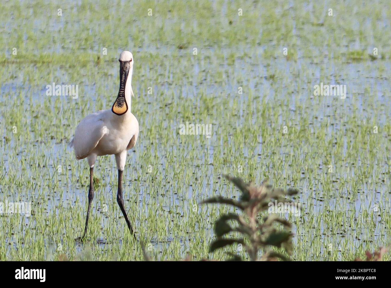Kalochori lagoon hi-res stock photography and images - Alamy
