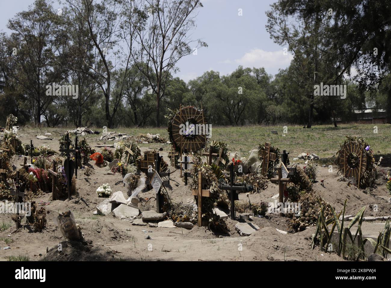 Burial area of ??corpses by Covid-19 of the Pantheon San Lorenzo ...