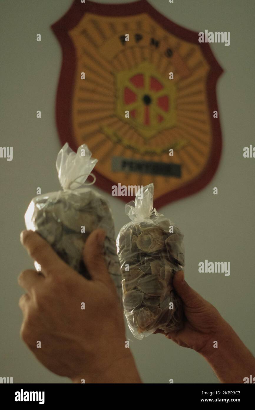 Pangolin scale medicine hi-res stock photography and images - Alamy