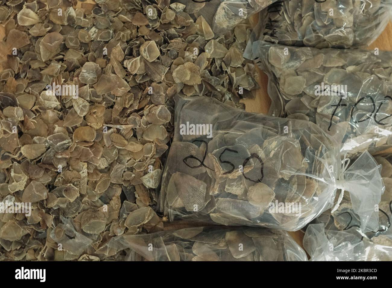 Pangolin scale medicine hi-res stock photography and images - Alamy