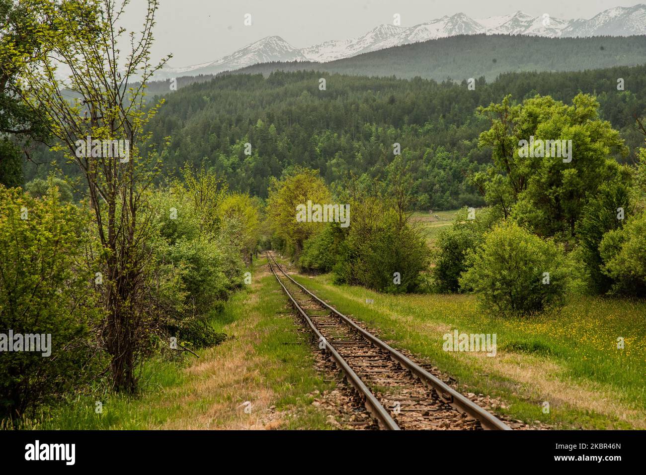 View to Rhodope mountain from the road of the narrow-gauge railway. The ...
