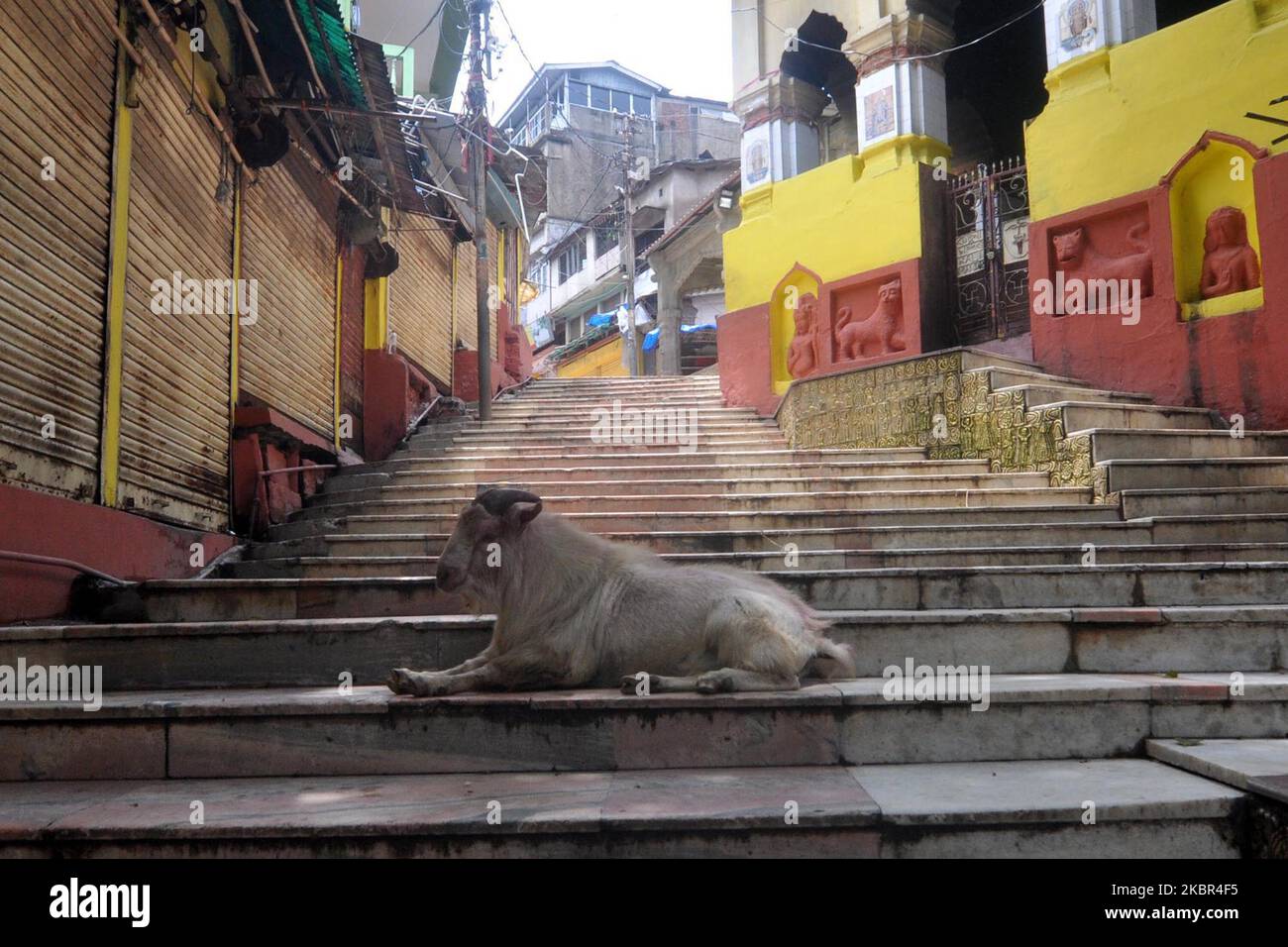 A deserted view of the Kamakhya Temple during ongoing COVID-19 lockdown ...