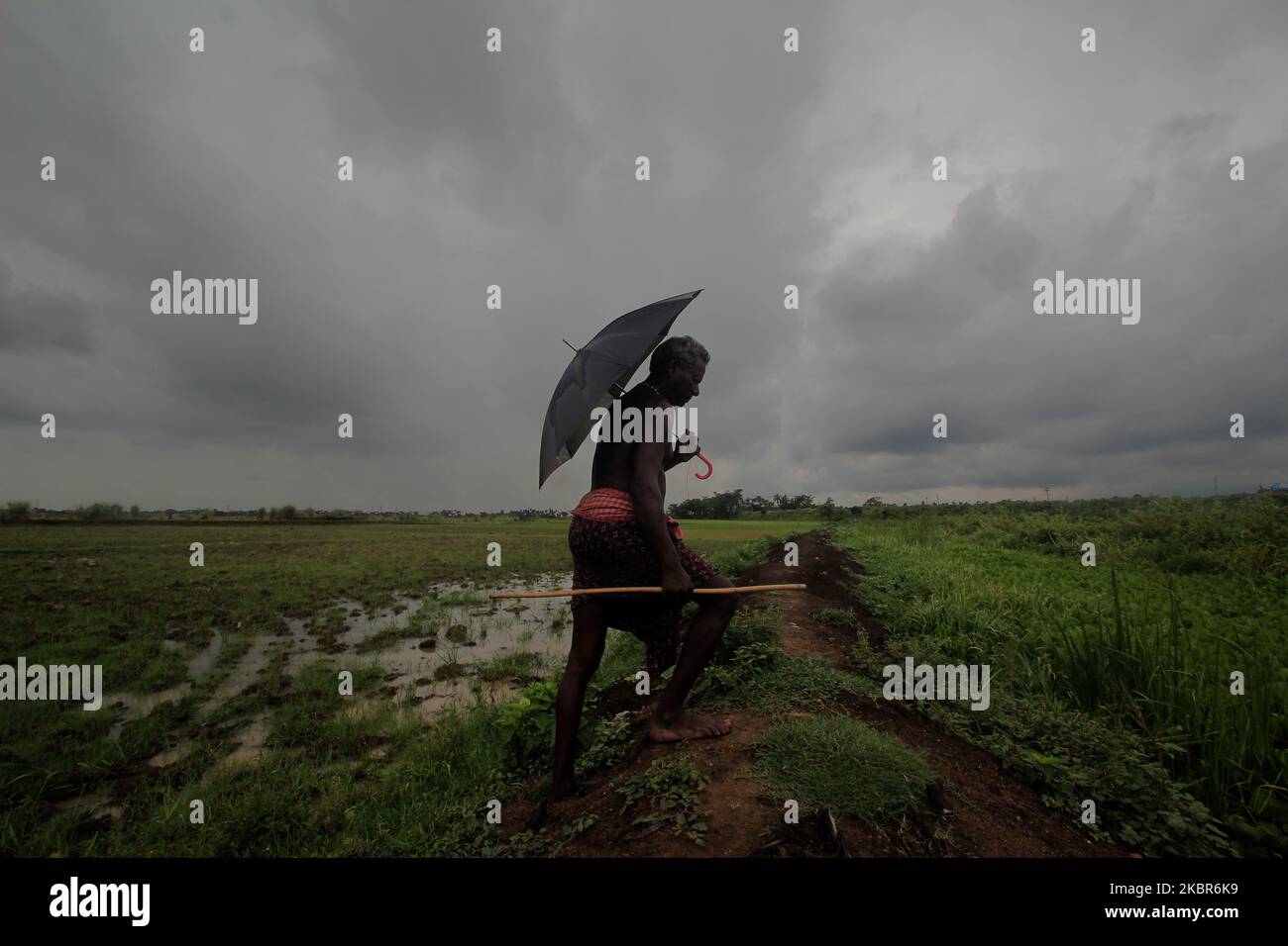 Agricultural paddy field embankment hi-res stock photography and images ...