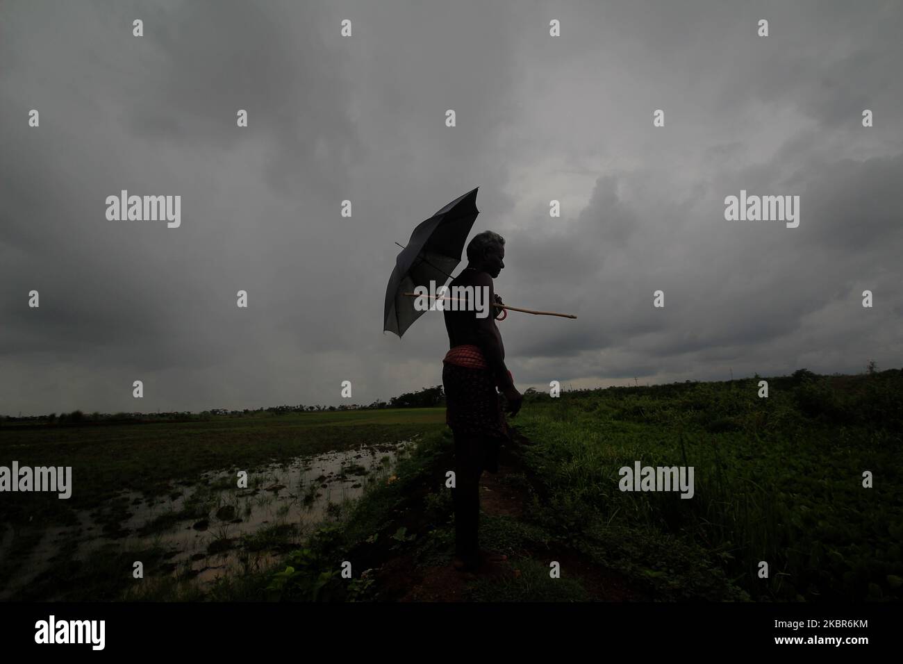 A villager is seen at his agricultural paddy field embankment as ...