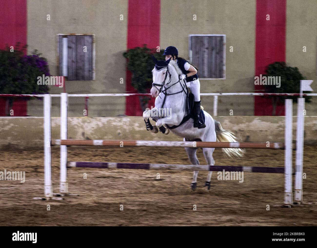 A palestinian rider Judy Bseiso “16 years old” jumping that resumed ...
