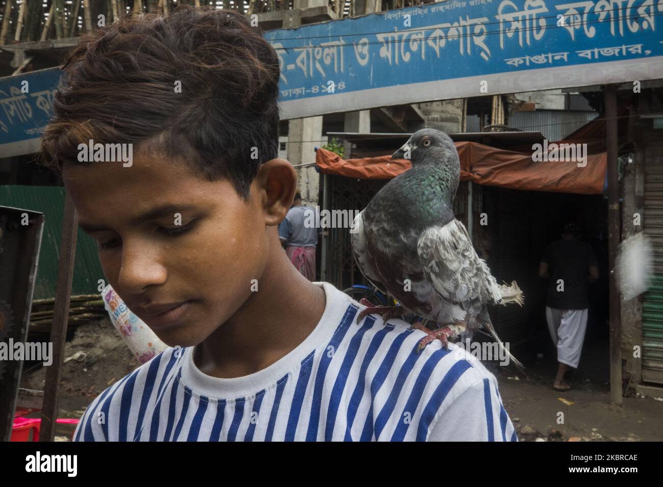 A young man poses with a fancy white pigeon at a pigeon market on the ...