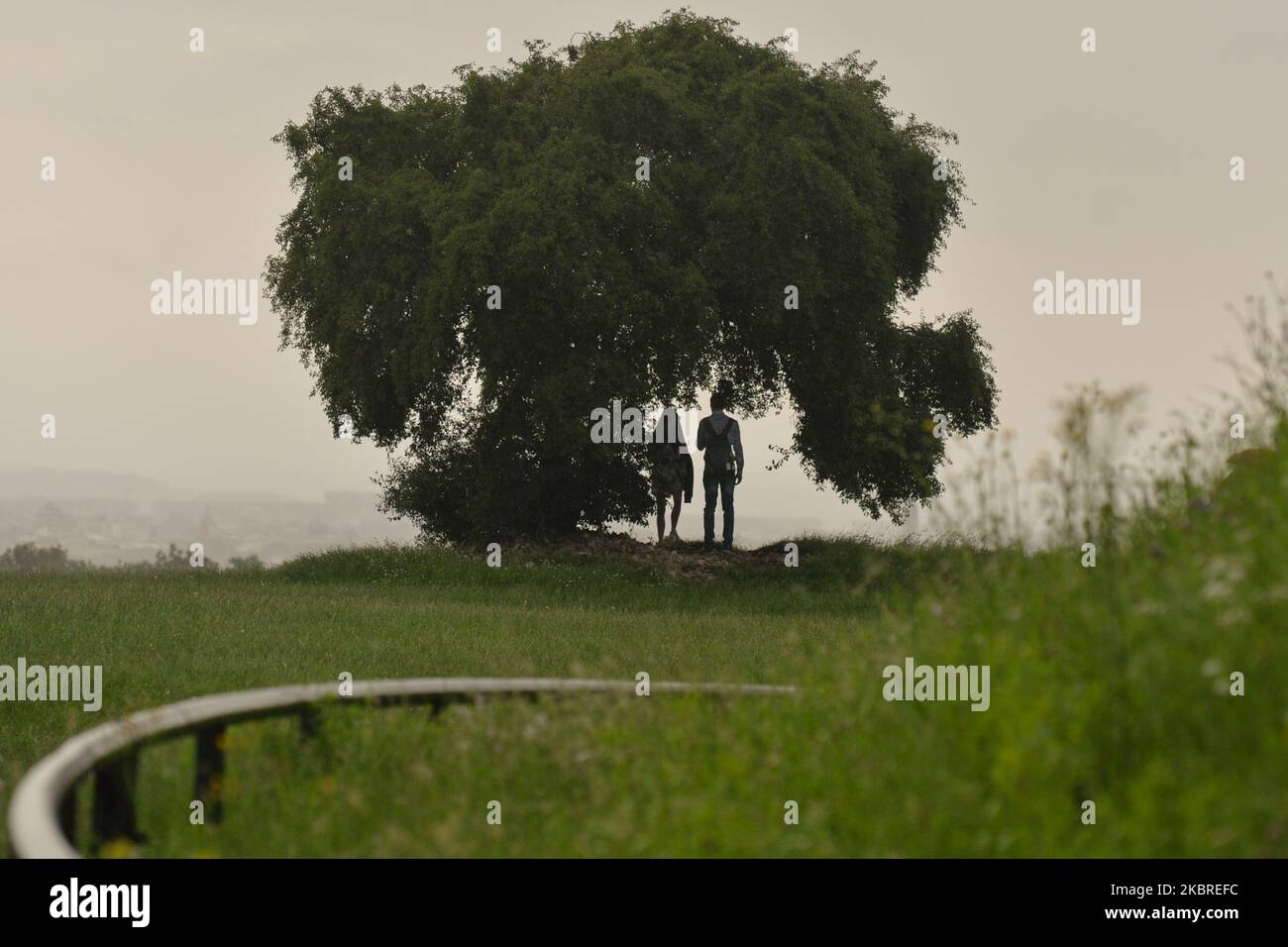 People shelter under a tree during rainy weather. A heavy rain remains ...