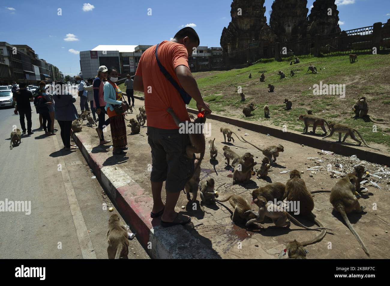 A man feed food monkeys on a street in Lopburi province, Thailand, 21 ...
