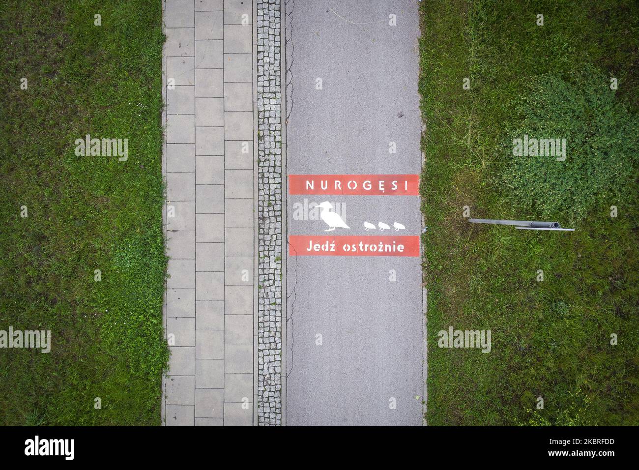 Dangerous crossing acrsoss hi-res stock photography and images - Alamy