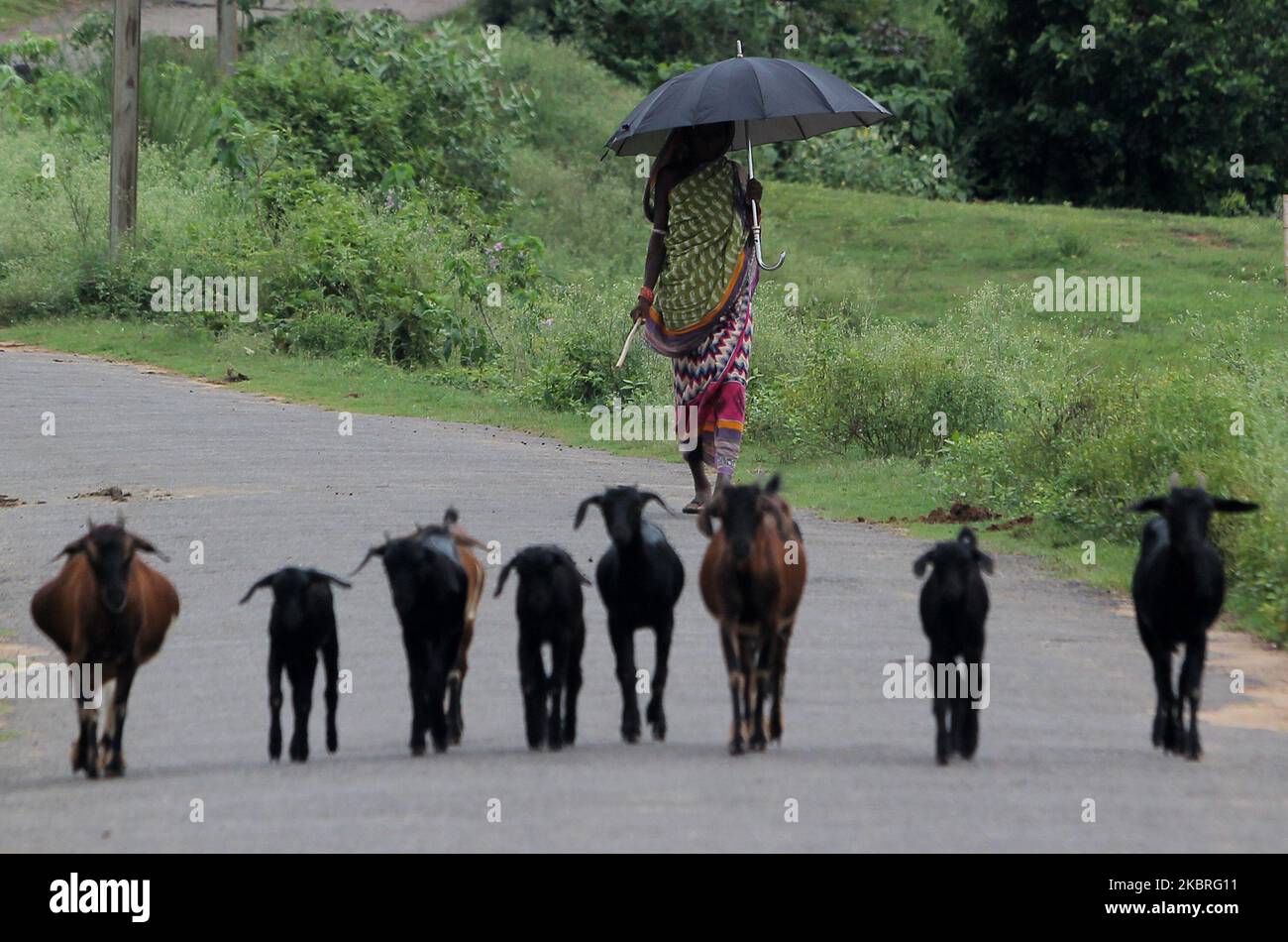 Coronavirus disease 2019 bhubaneswar hi-res stock photography and ...