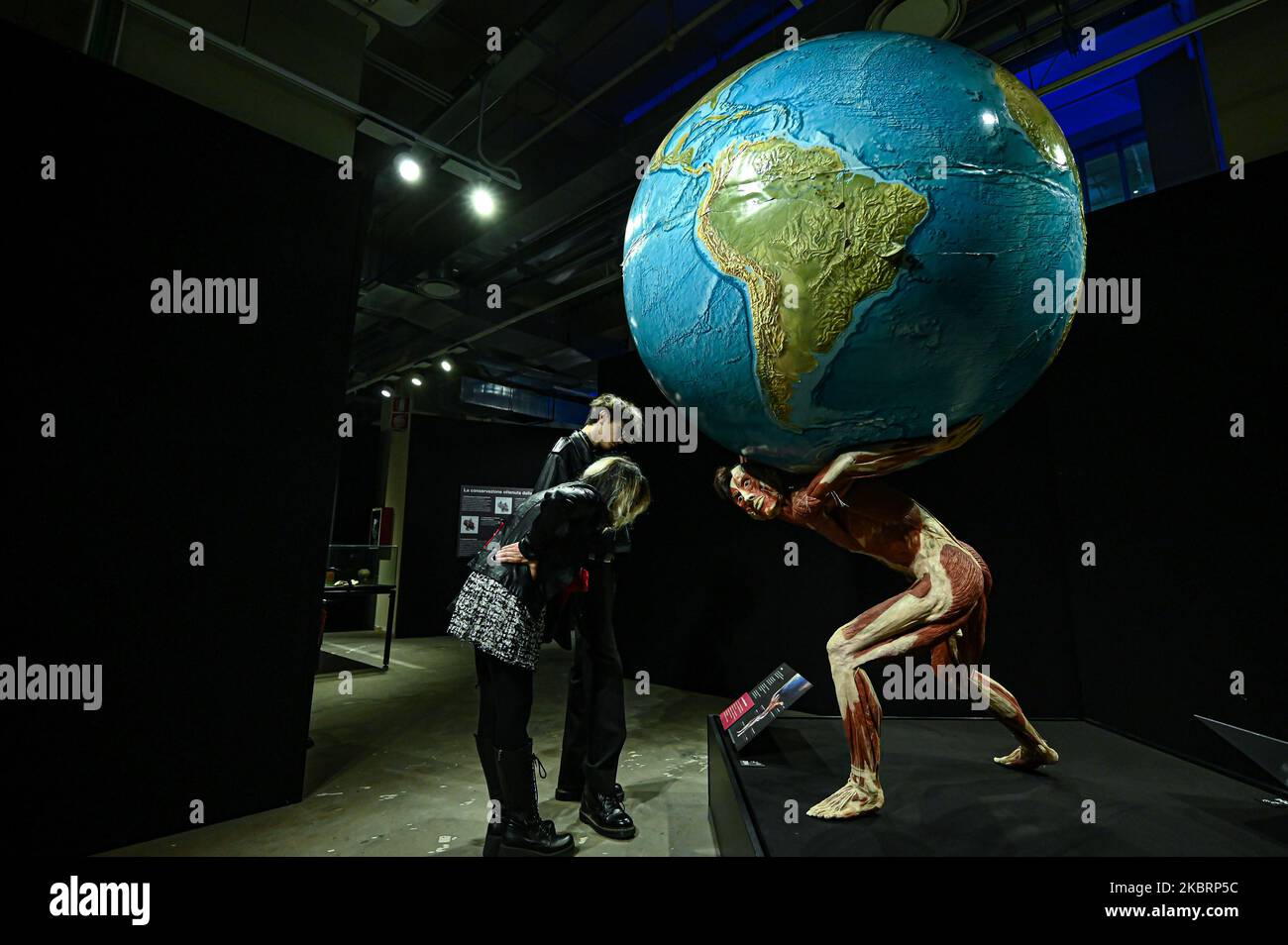 Milan, Italy - November 4, 2022: visitors at the Body Worlds – The ...