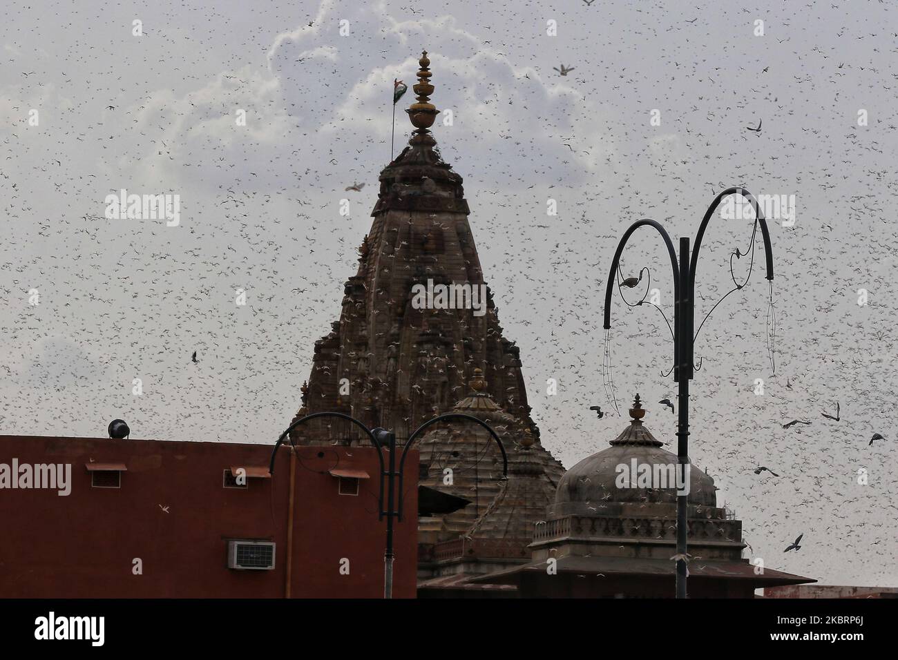 Half of north indian cities hi-res stock photography and images - Alamy