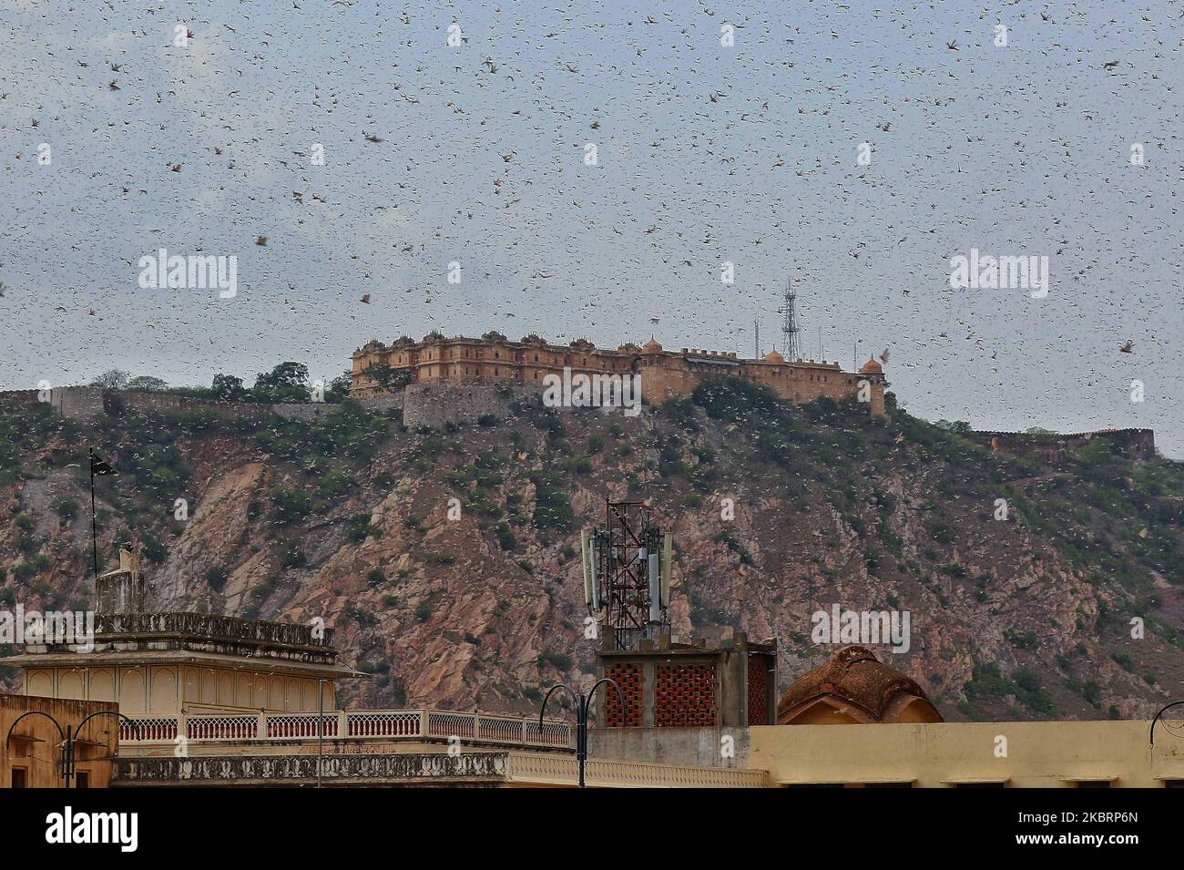 Half of north indian cities hi-res stock photography and images - Alamy