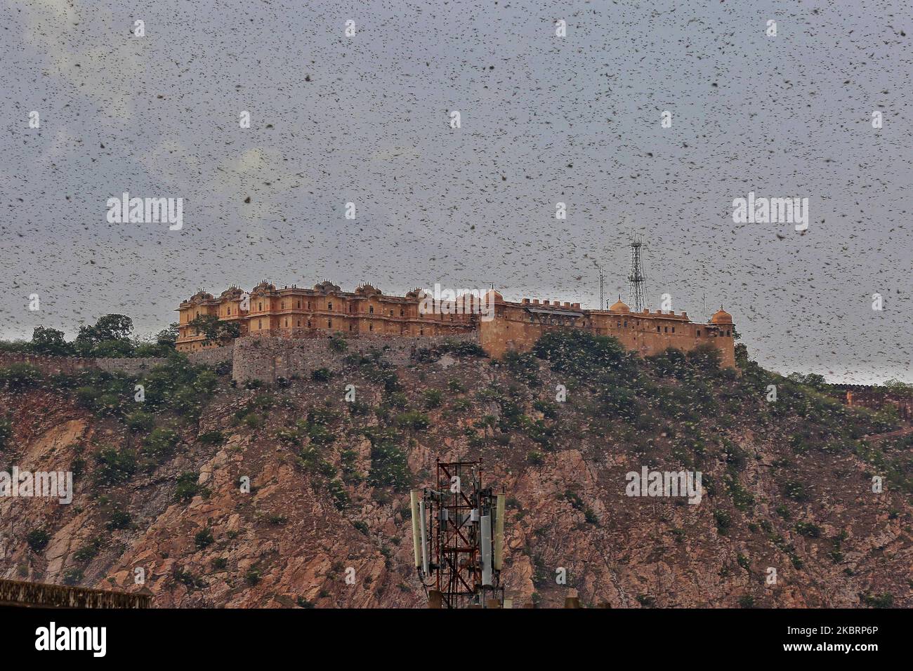 Half of north indian cities hi-res stock photography and images - Alamy
