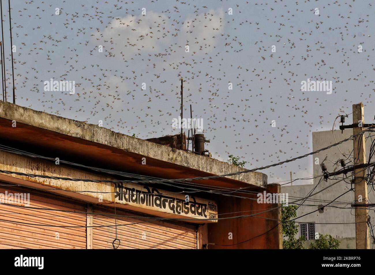 Half of north indian cities hi-res stock photography and images - Alamy