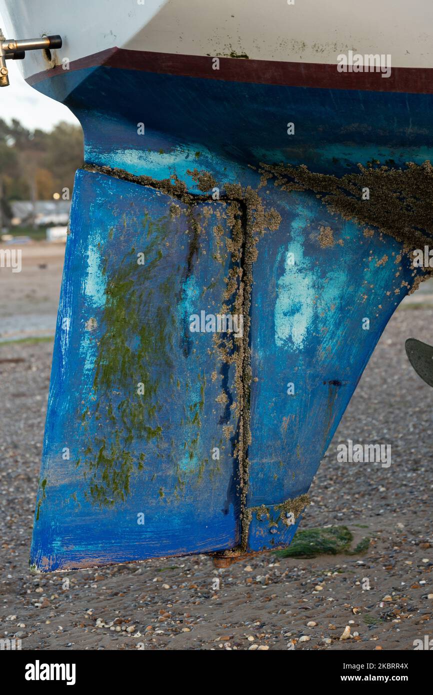Barnacles on a yachts hull Stock Photo - Alamy