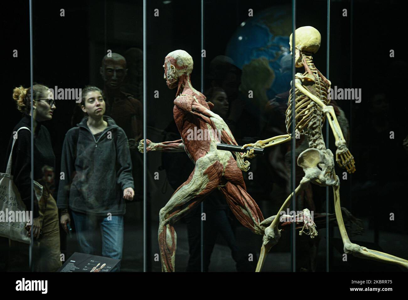 Milan, Italy - November 4, 2022: visitors at the Body Worlds – The ...