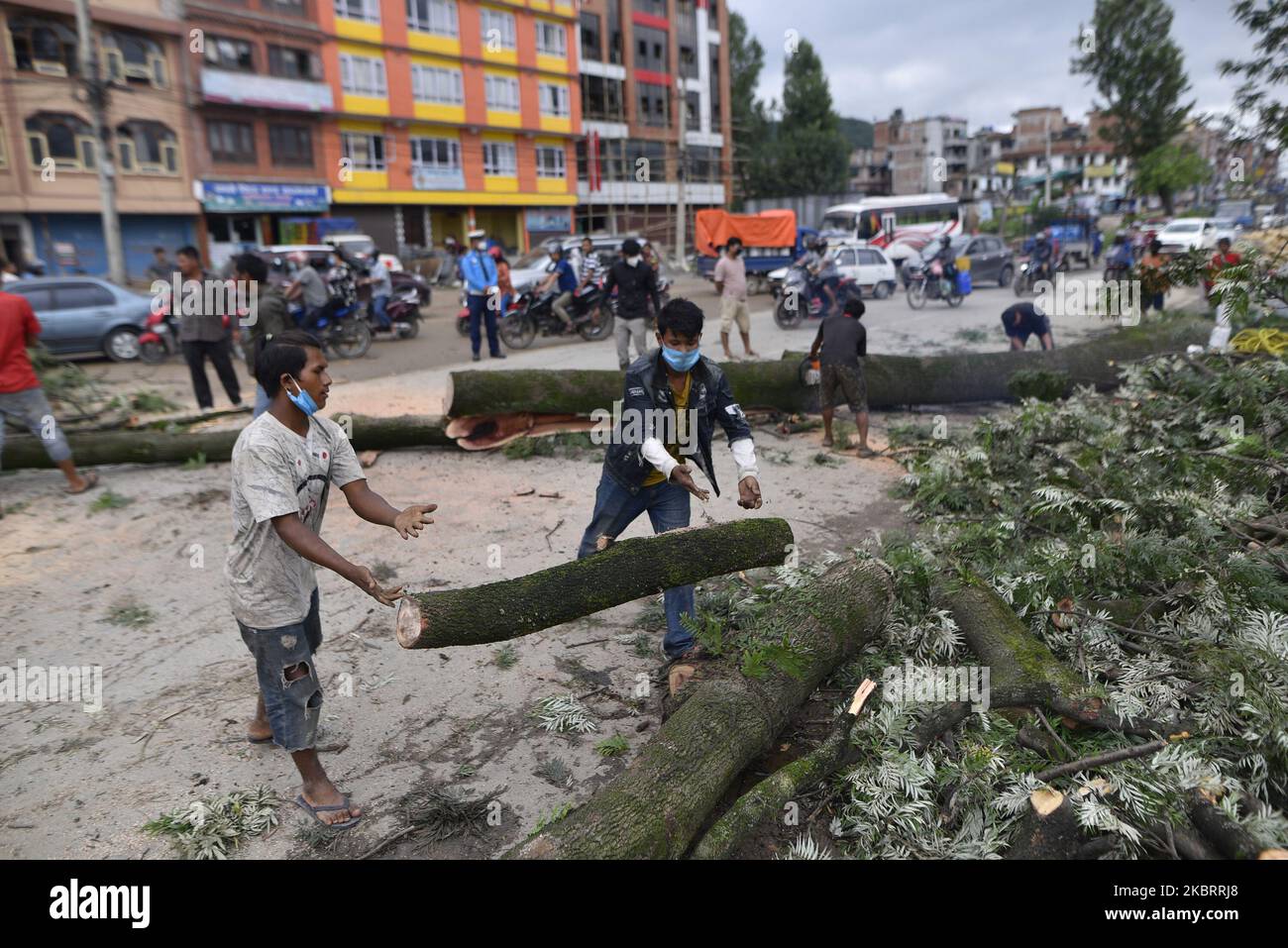 391 trees hi-res stock photography and images - Alamy