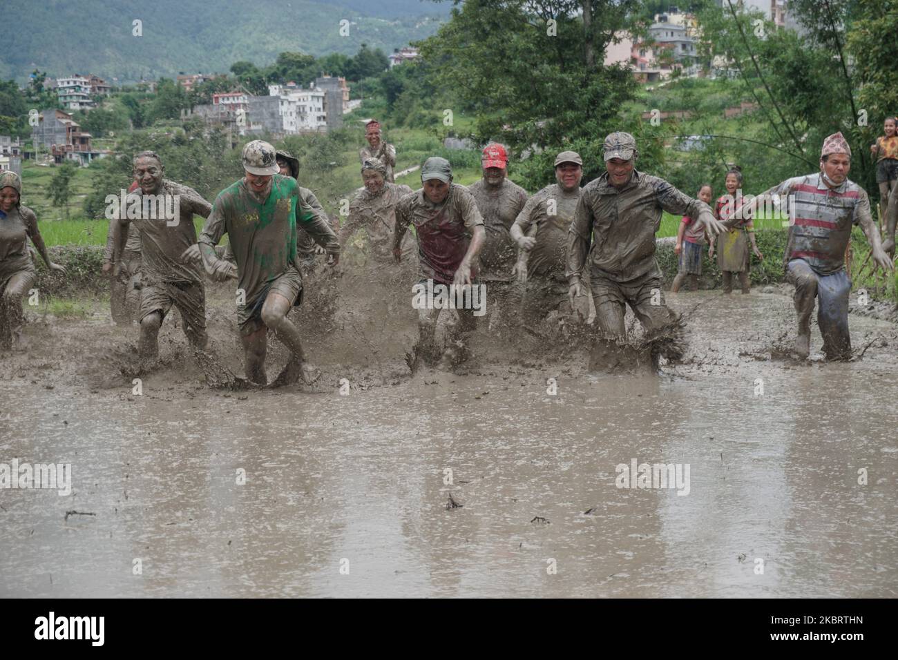 People play in the mud at the paddy field during the National Paddy Day ...