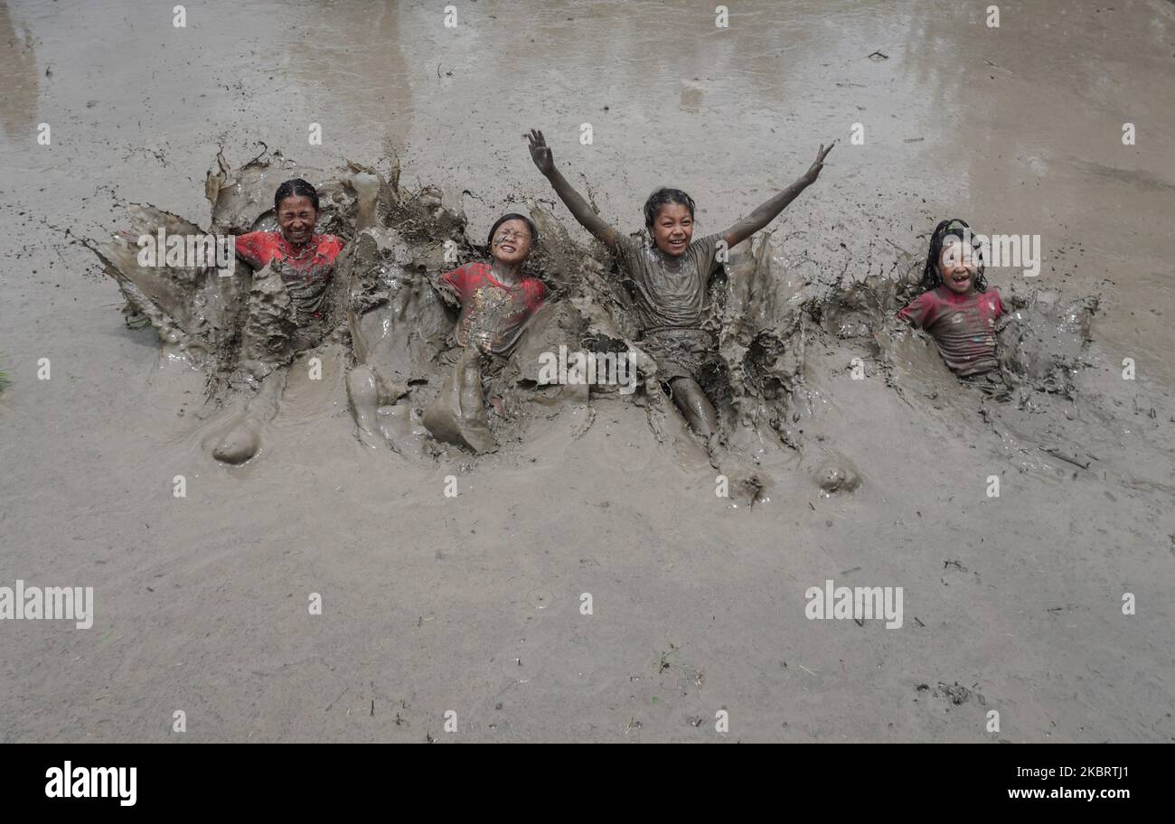 Plantinf rice crops hi-res stock photography and images - Alamy