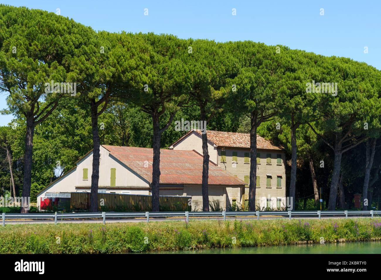 Landscape along the cycleway of Sile river in Venice province, Veneto ...