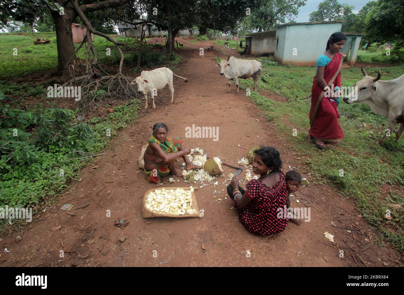 Rural are villager those are living in the blow poverty line are seen ...