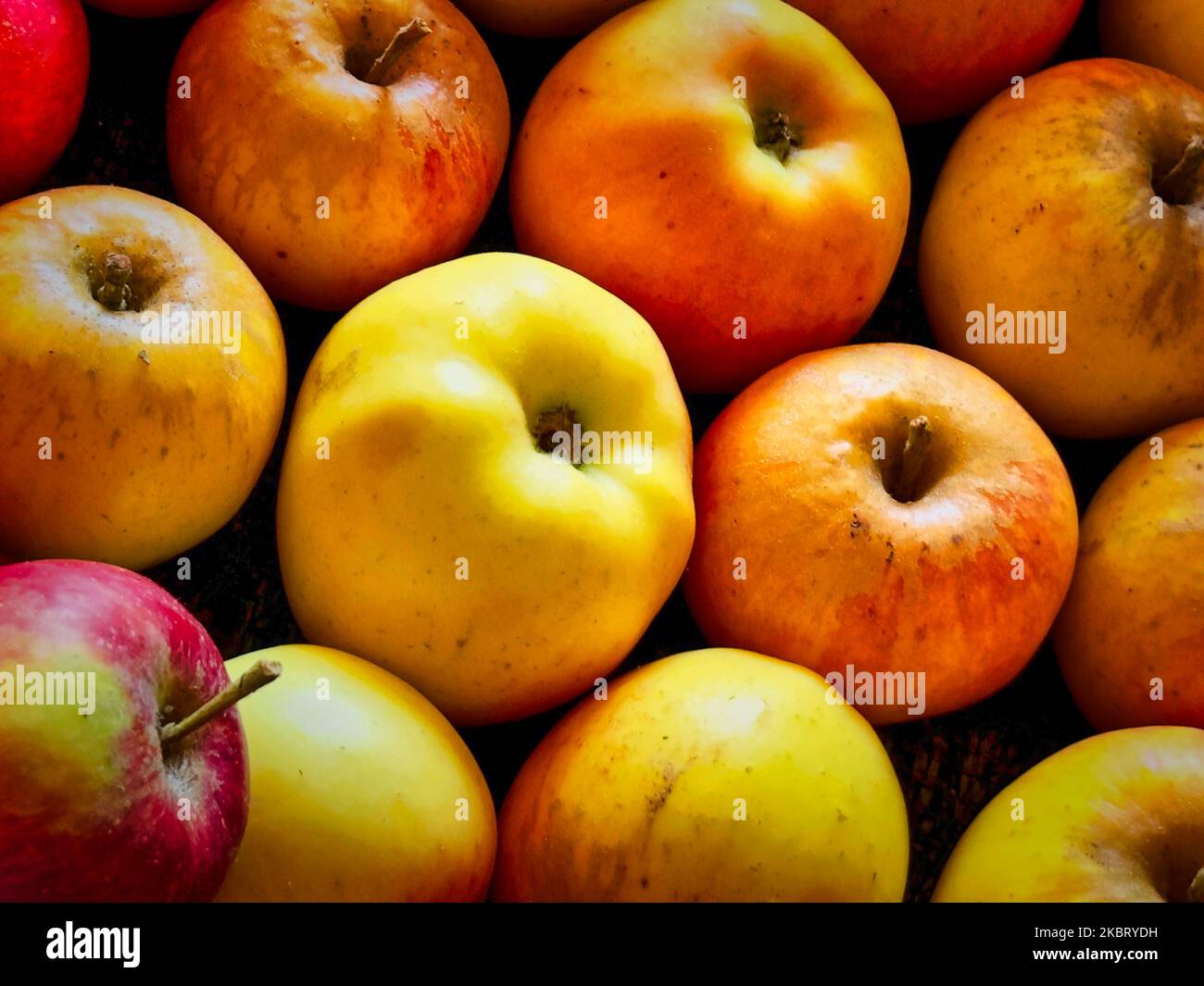 Group of apples close up hi-res stock photography and images - Alamy