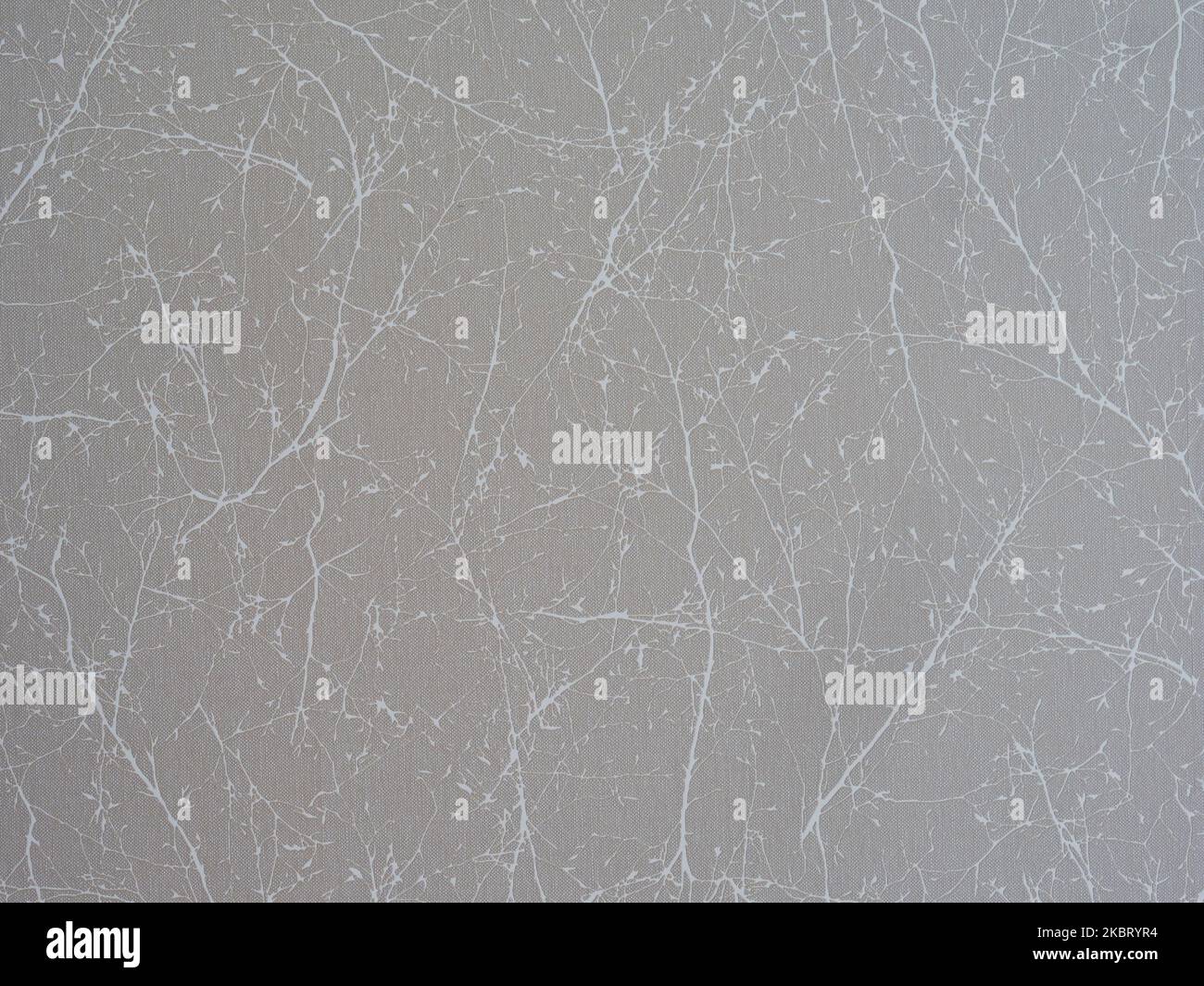 Background wallpaper grey with white branches or twigs. copy space ...