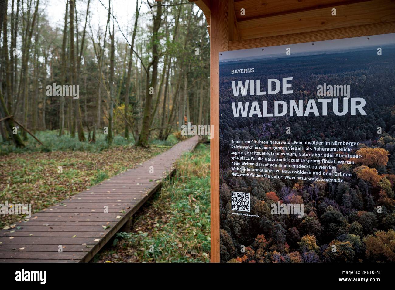 Nuremberg, Germany. 04th Nov, 2022. The Reichswald in autumn and a new ...