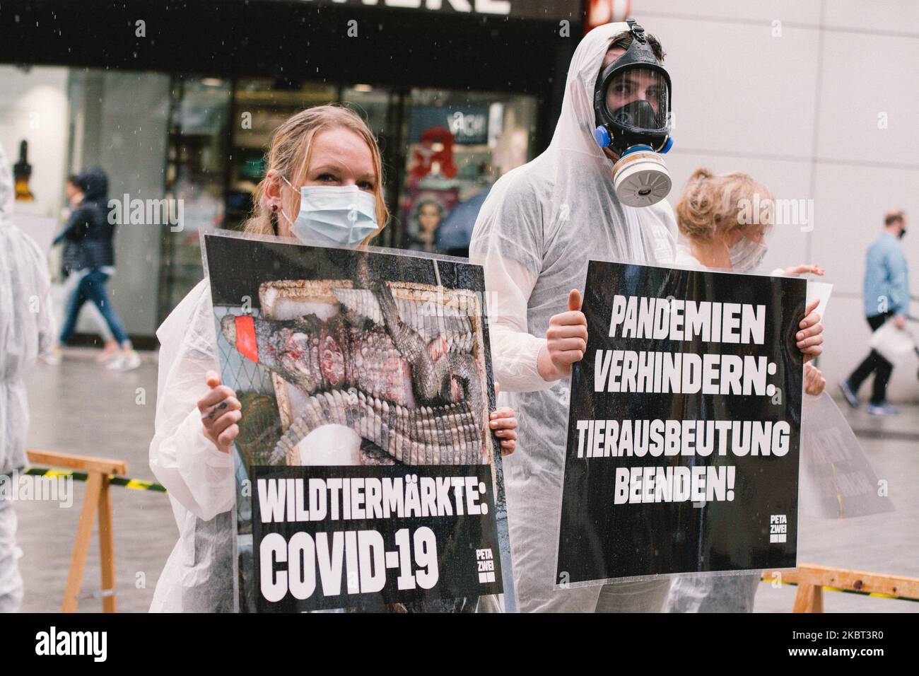 Animal rights activists protest against Germany's meat industry in ...