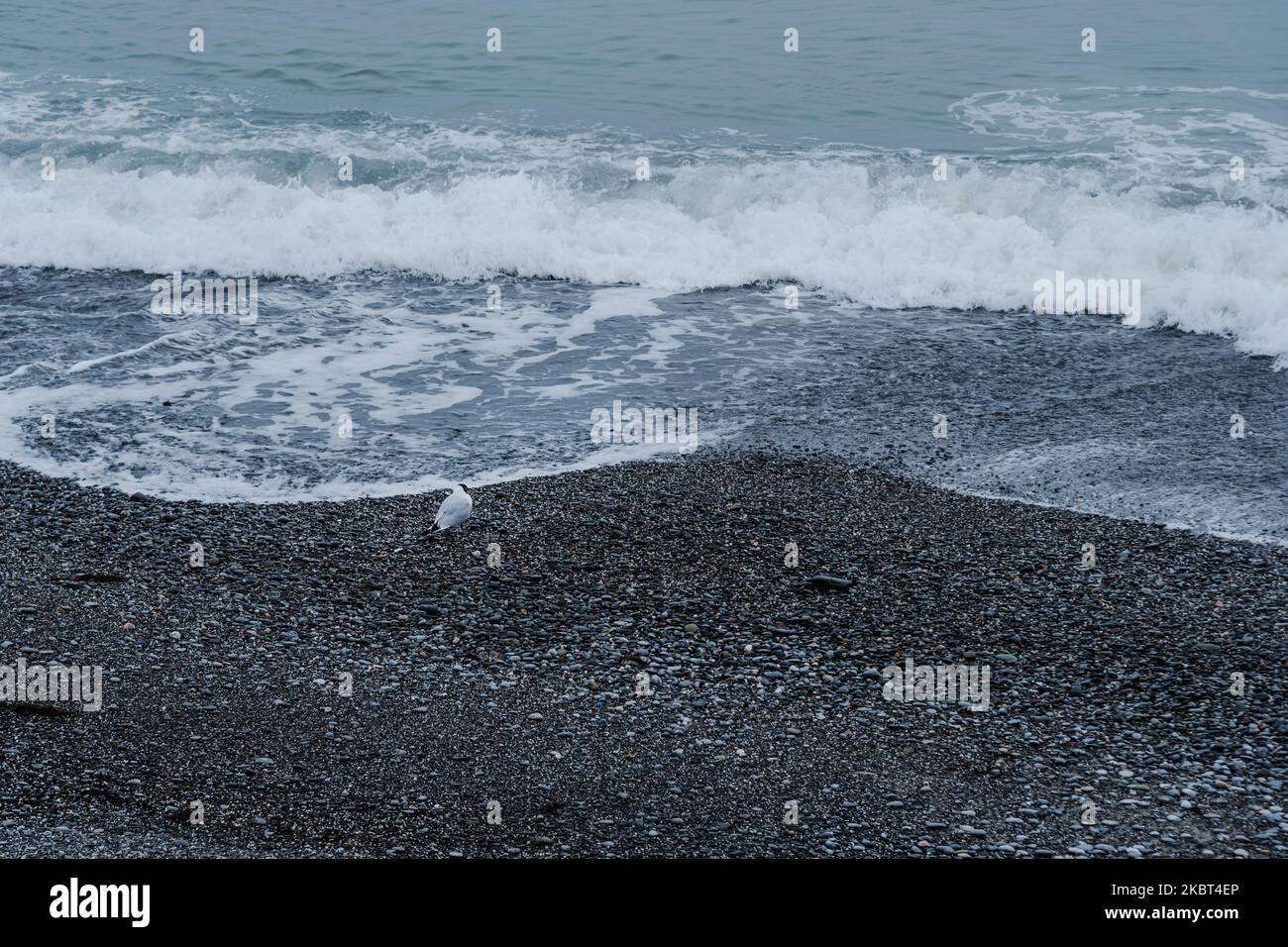 Pebbles sea beach at cloudy weather day in spring in Alushta, Crimea ...