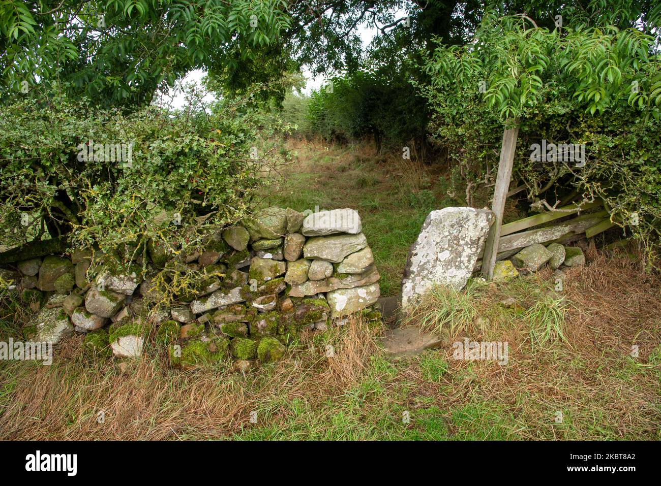 Stone stile on a hiking path in the Yorkshire Dales, England, UK Stock ...