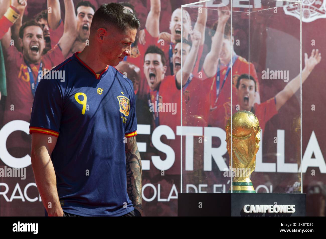 Fernando Torres 9 2022 Pose