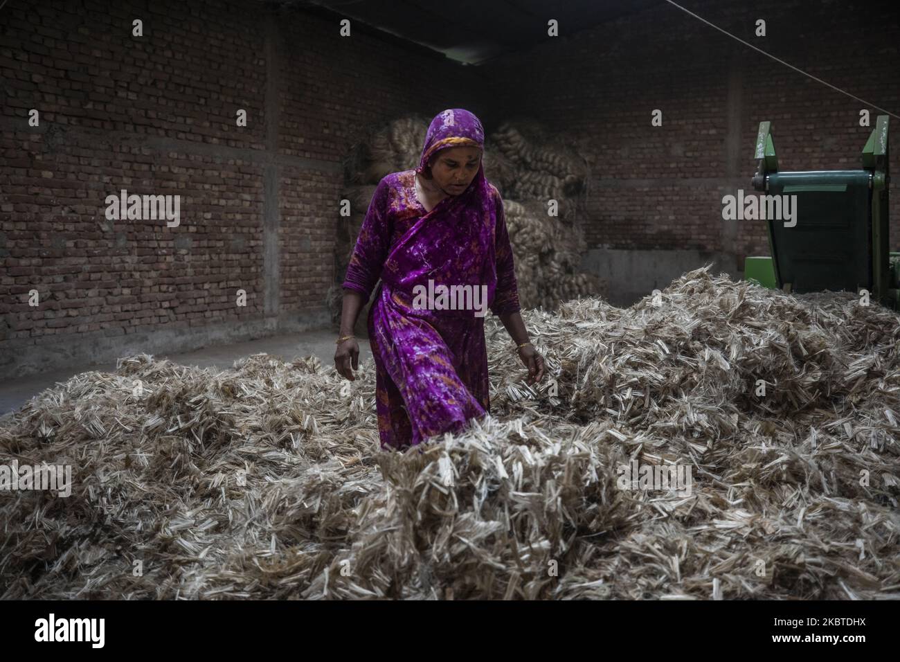 An women works at a jute processing factory in Narayanganj near Dhaka ...