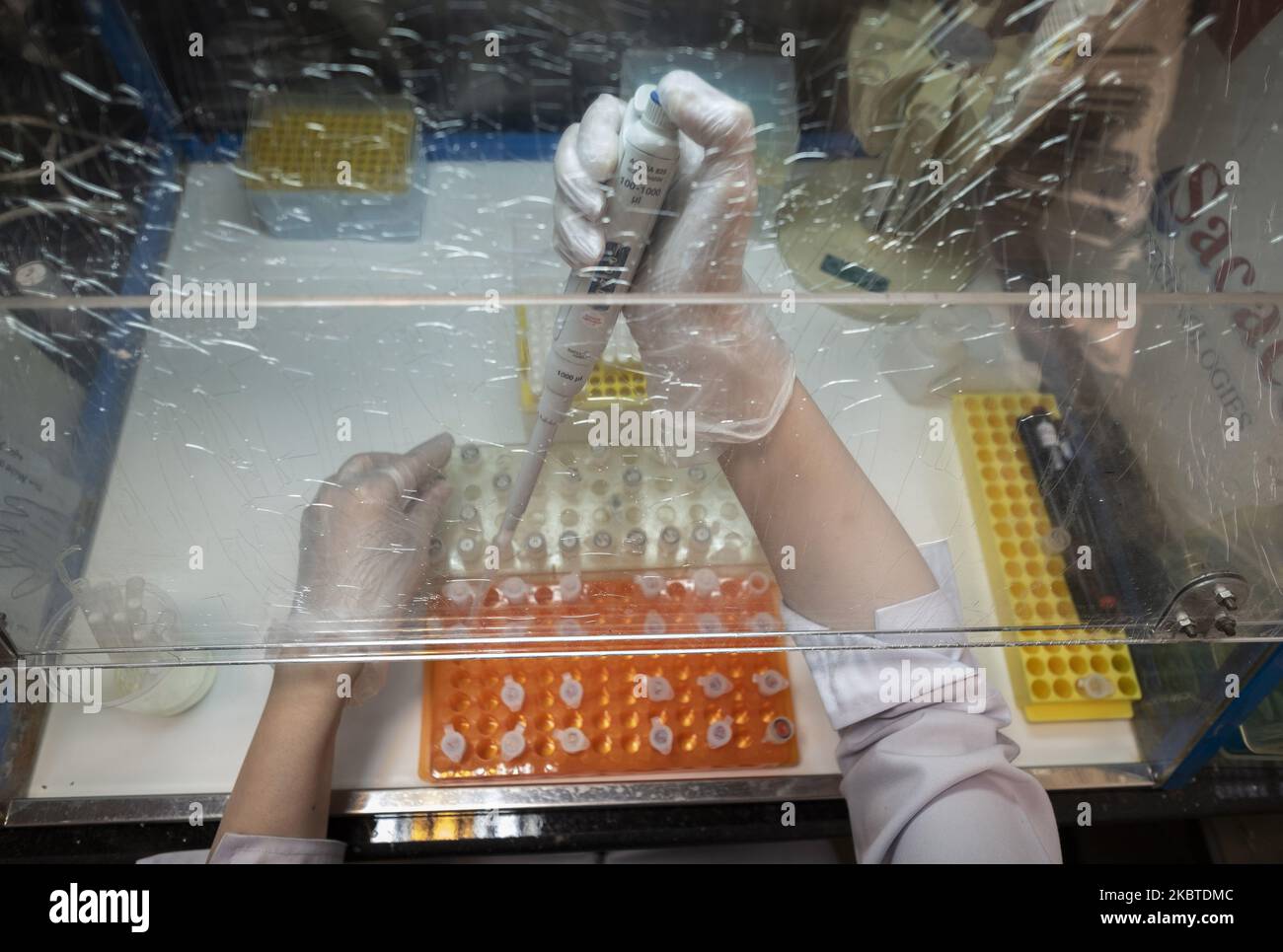 A laboratory technician wearing a protective suit works in a virology ...