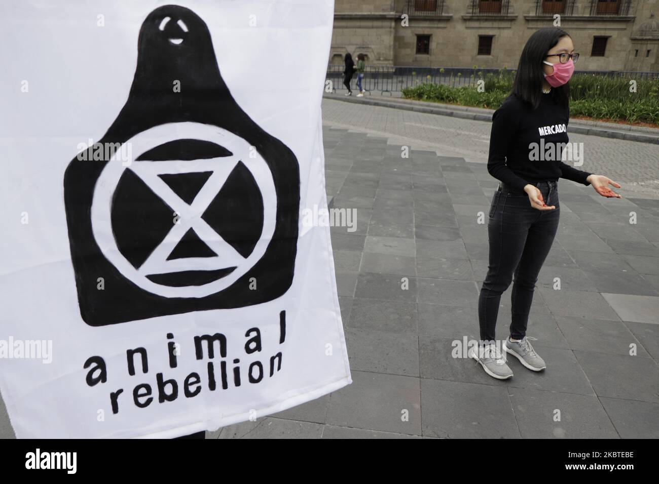 Non animal methods hi-res stock photography and images - Alamy